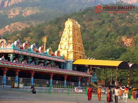 Sri Narasimha Swamy Temple I Penchala Kona I Hindu Gallery